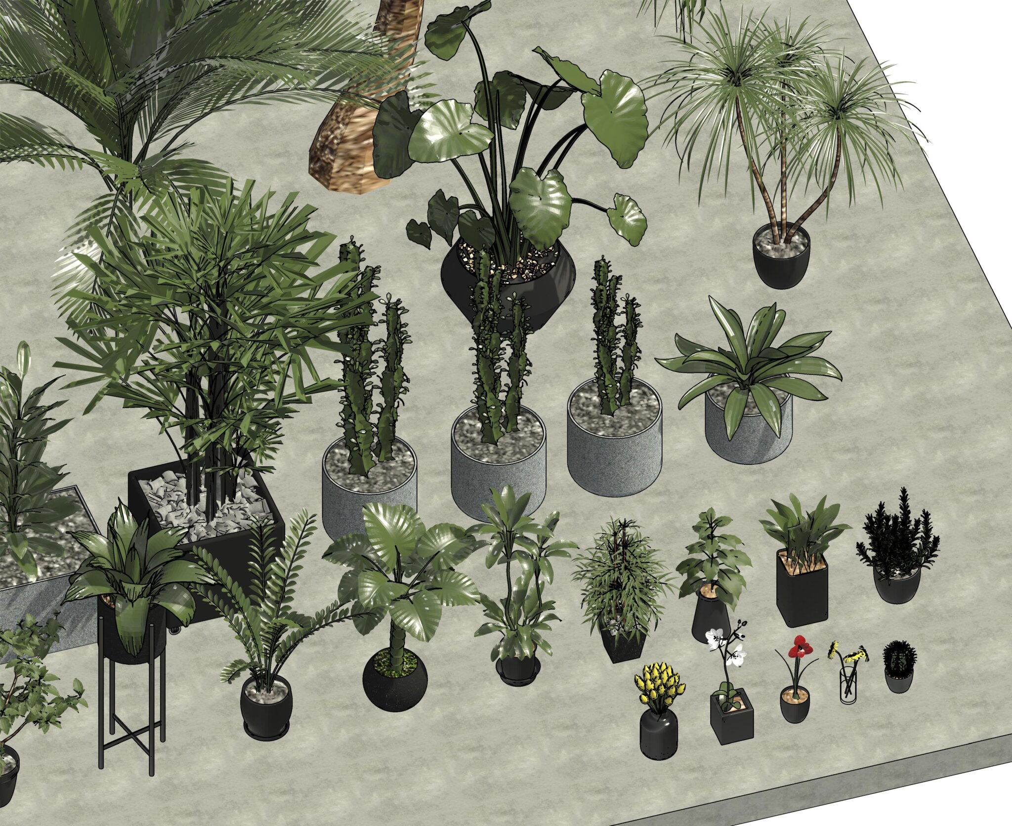 Plant Vol2 | Revit Daily